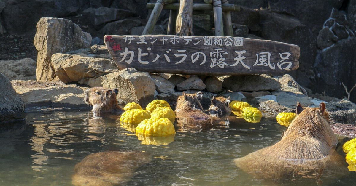 エネマグラ、つるきりはしないで！｜Enemagra