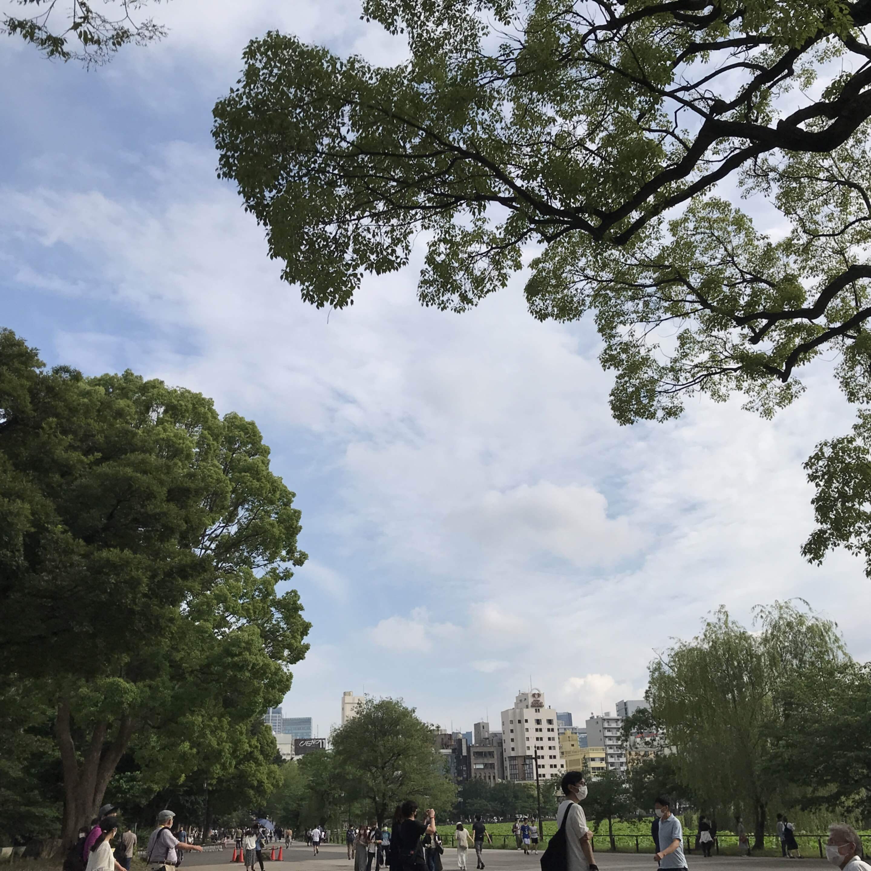 CDのある生活｜GORO-TATSUTA シンガーソングライター｜note