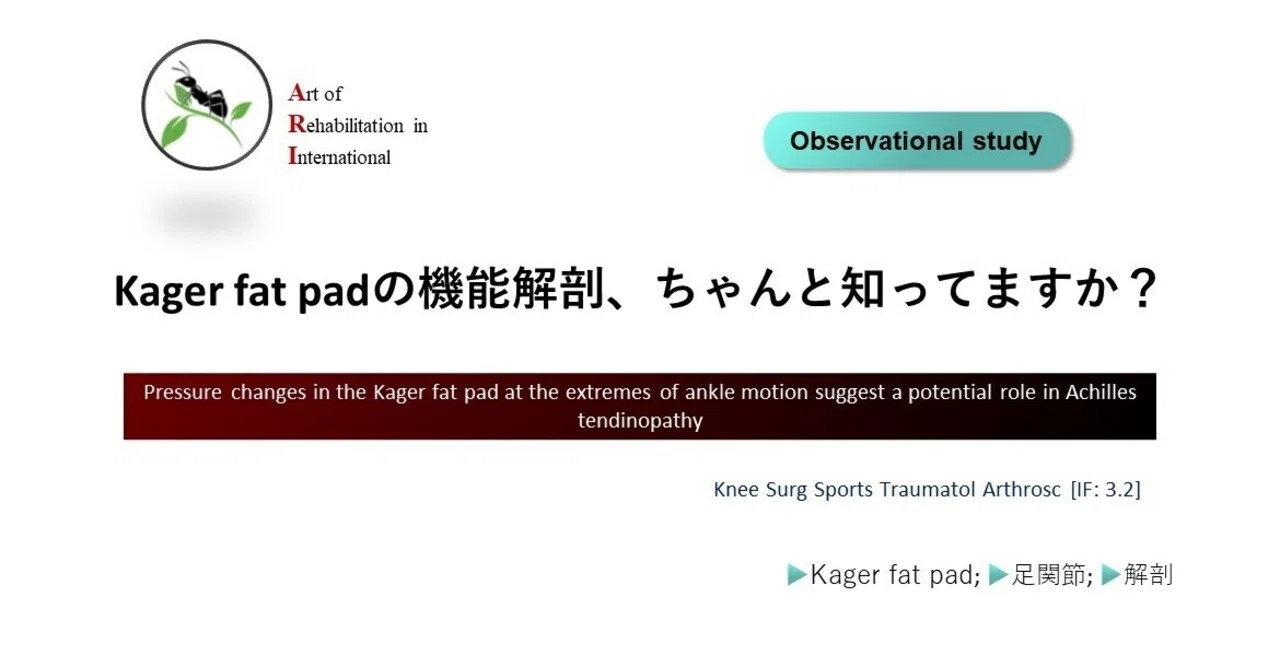 Kager fat padの機能解剖、ちゃんと知ってますか？｜ミントライム