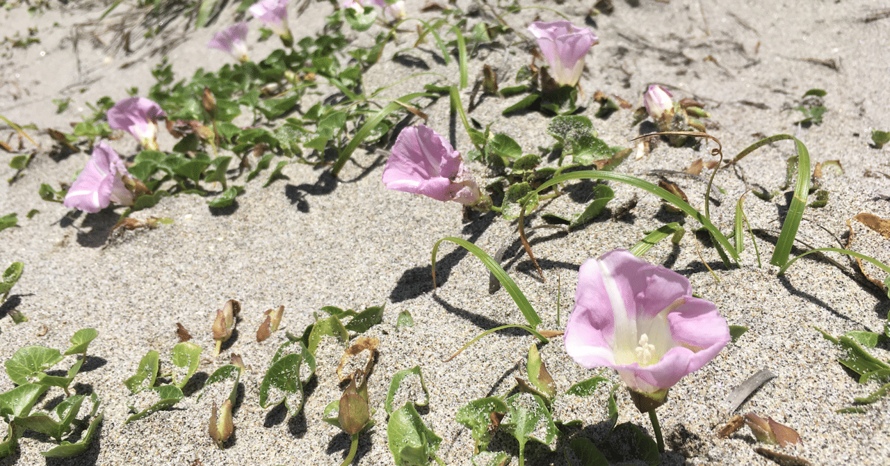 復興を綴り続けること｜ken okai | 界隈創造舎