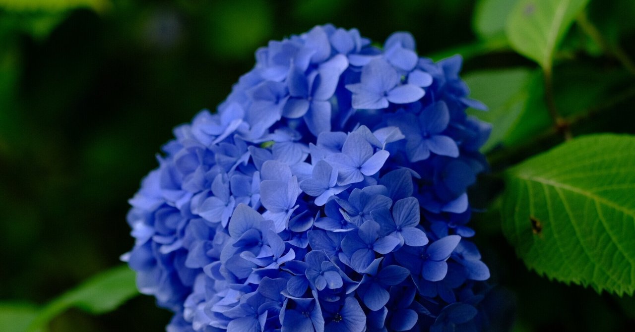 【日記】2021/06/12(土)～2021/06/14(月)｜utsuno