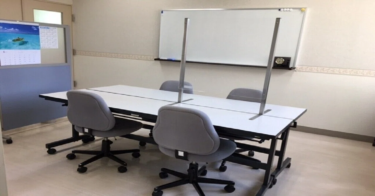 Introducing the City's Employment Support Consultation Office, "Work ...