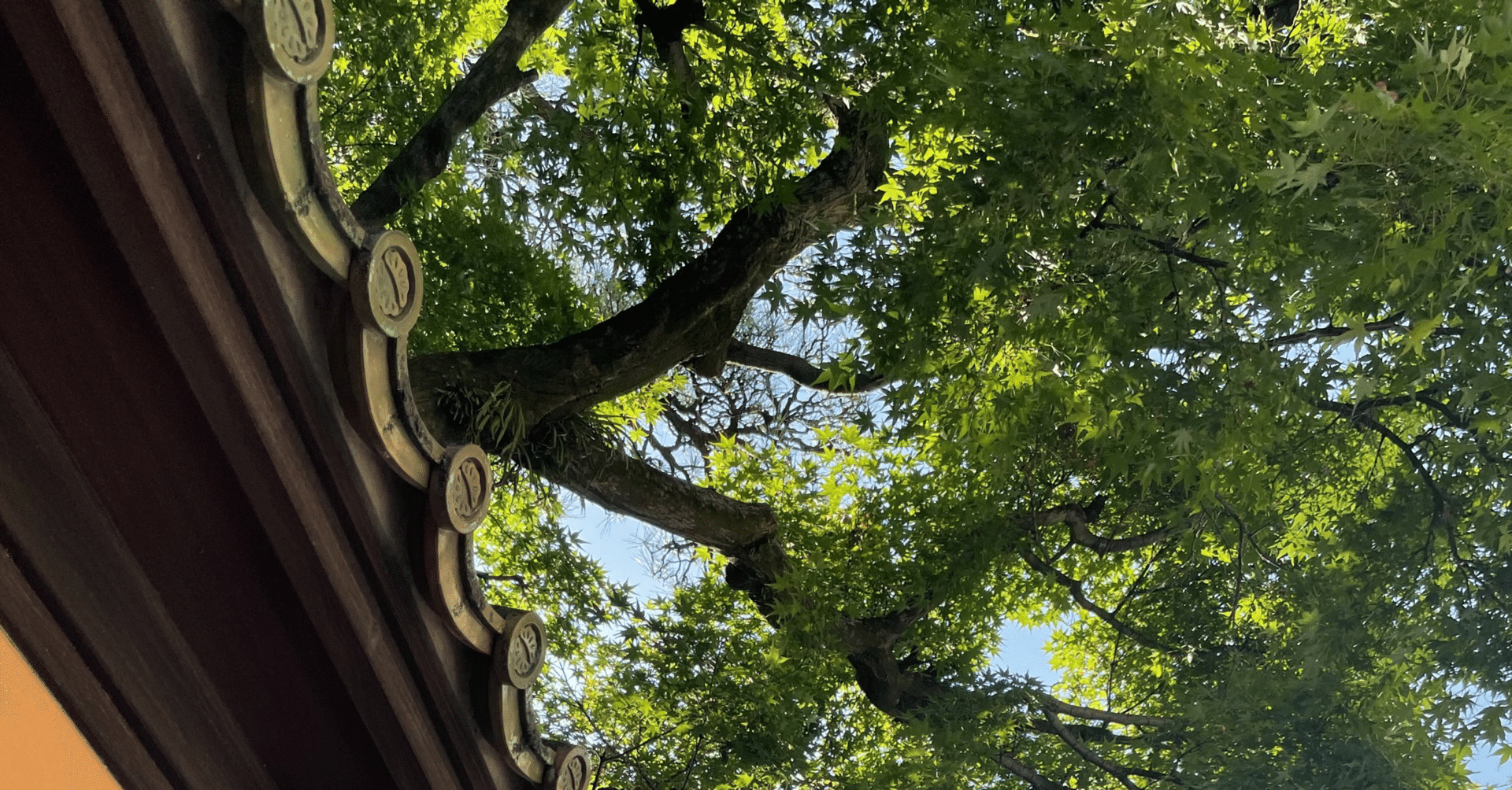 HaruKi / はるき｜note