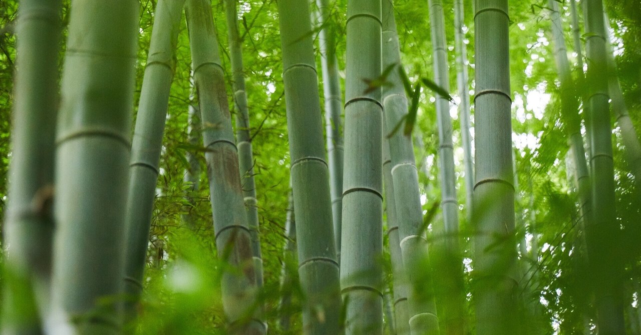 はじめまして、LOCAL BAMBOOです。｜LOCAL BAMBOO Inc.