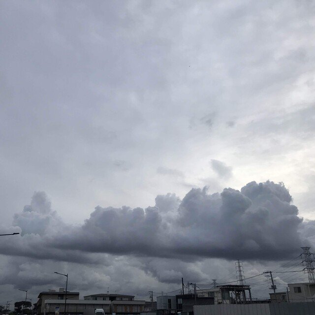 プチ肥満が流行ってるの？｜GORO-TATSUTA シンガーソングライター｜note