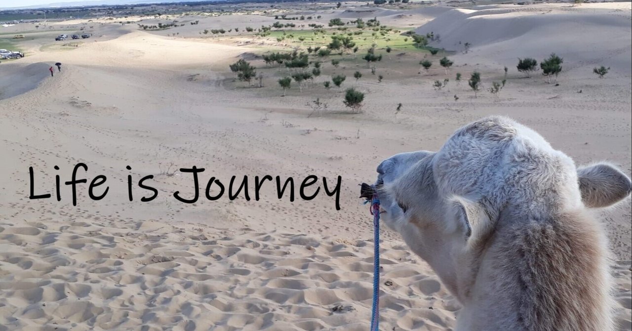 python: loadとloads, dumpと dumpsの違い｜meimei