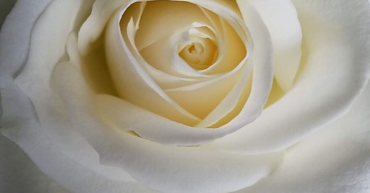 feel & create｜mami atelier ZEN