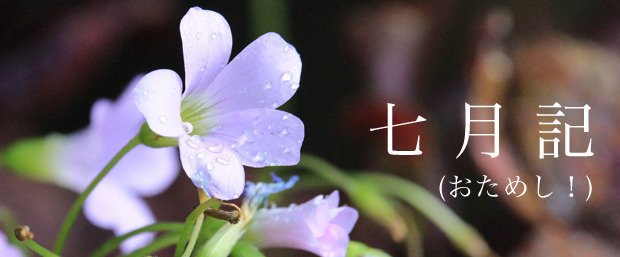 追記更新型：七月記、7月3日分を更新しまております:) https://note.mu/charly_jp/n/n76ad72167968｜charly_jp