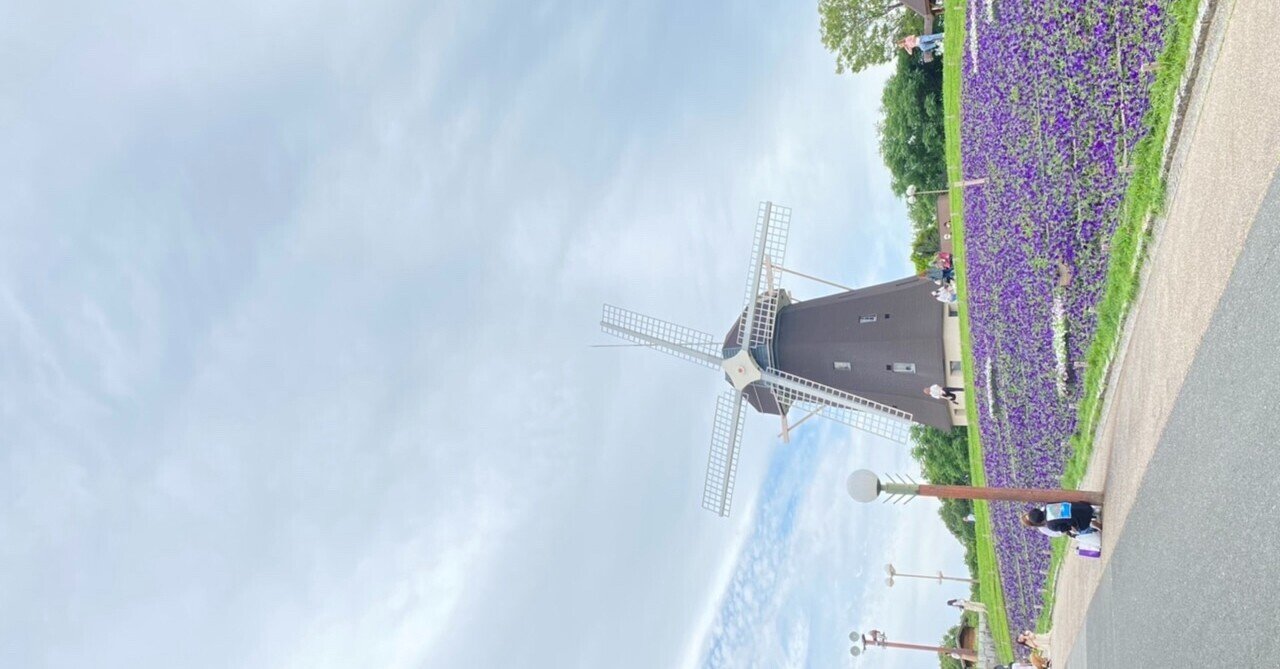 今朝の夢｜arinko