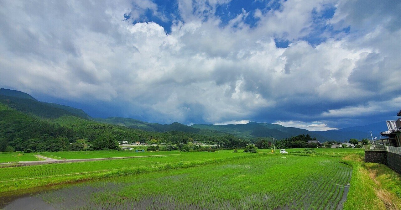 【日記】06/15(火)～06/18(金)｜utsuno