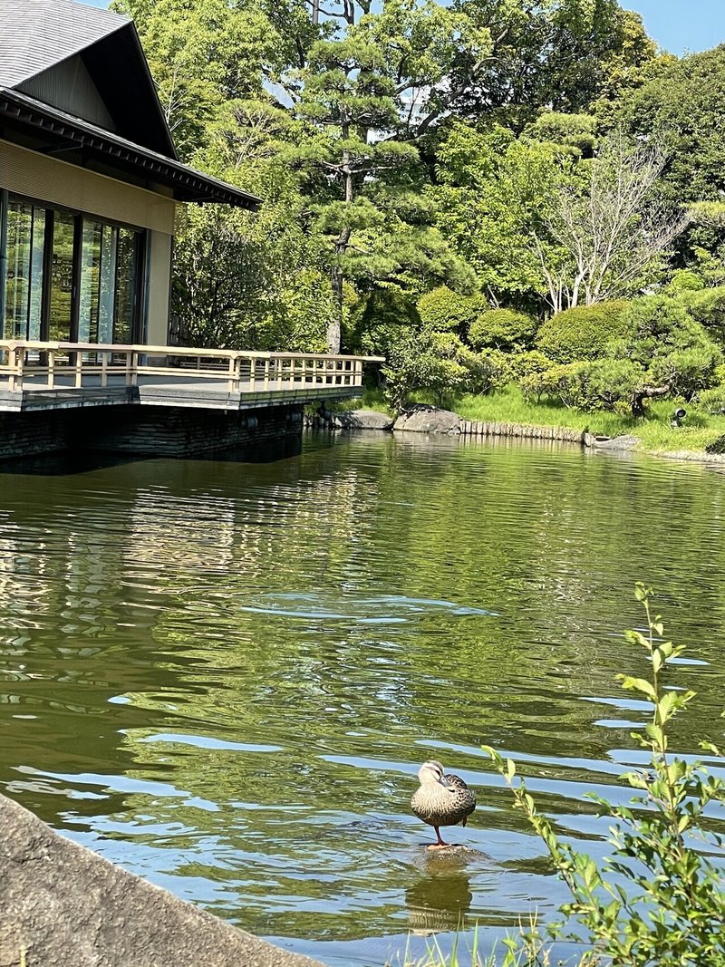 庭を眺める気持ち｜文系ヒロ@本業副業EX｜note