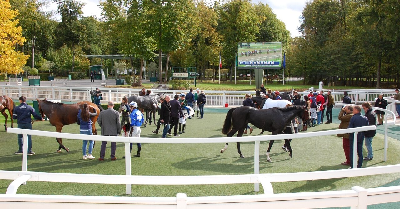 東京サラブレッドクラブ募集馬(2020年産)AI馬体診断｜Koji Maeda