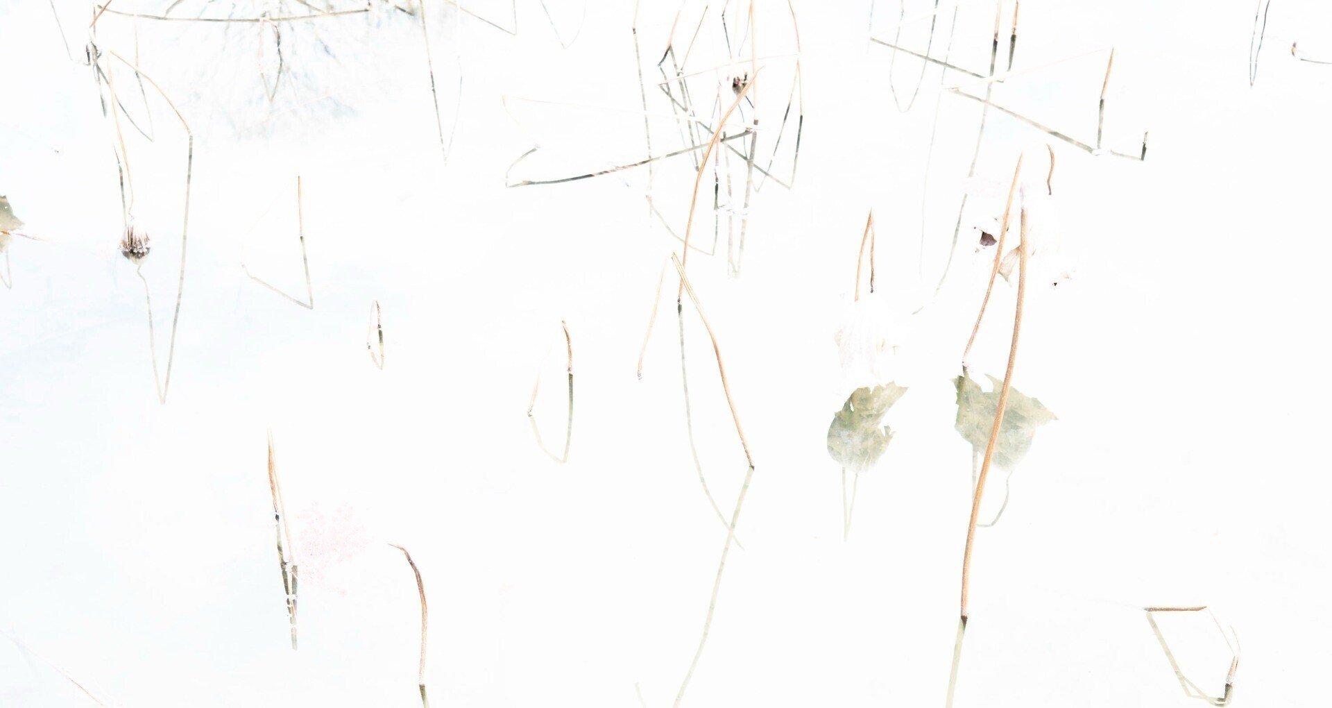 dear gallery nara オーナー｜note