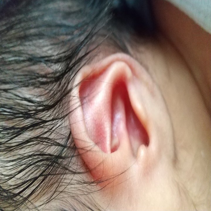 初孫の世話をしに｜かほ