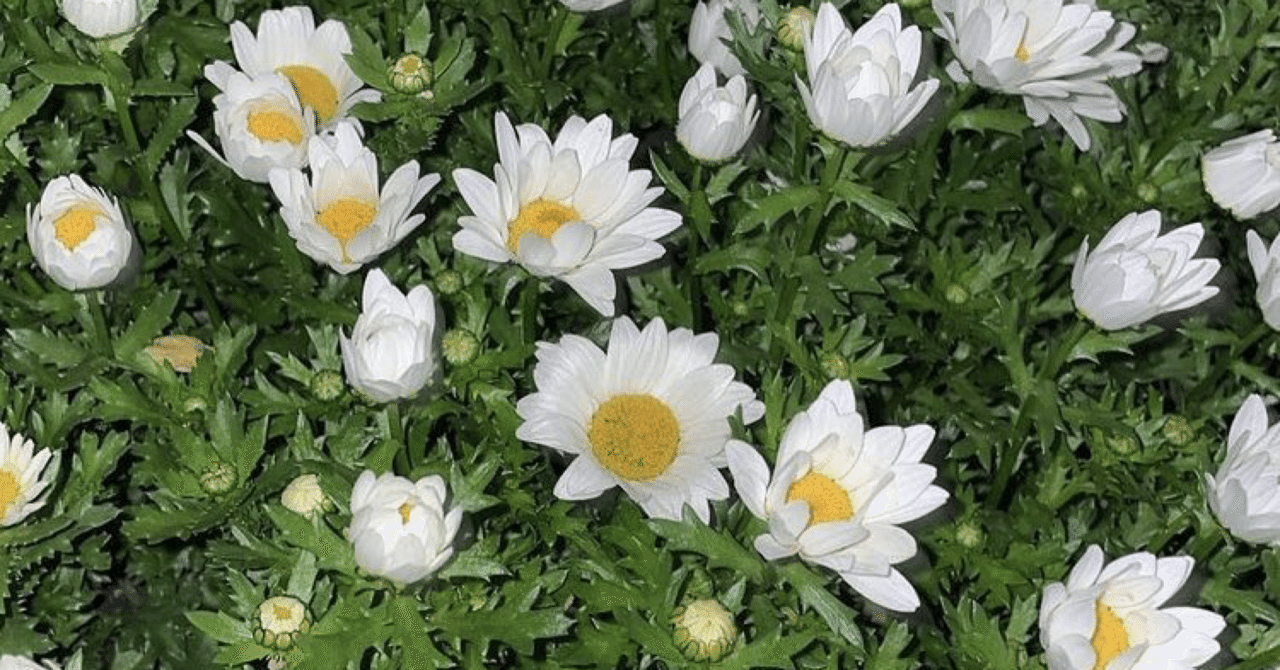 排。(20210708)｜i8u．｜note