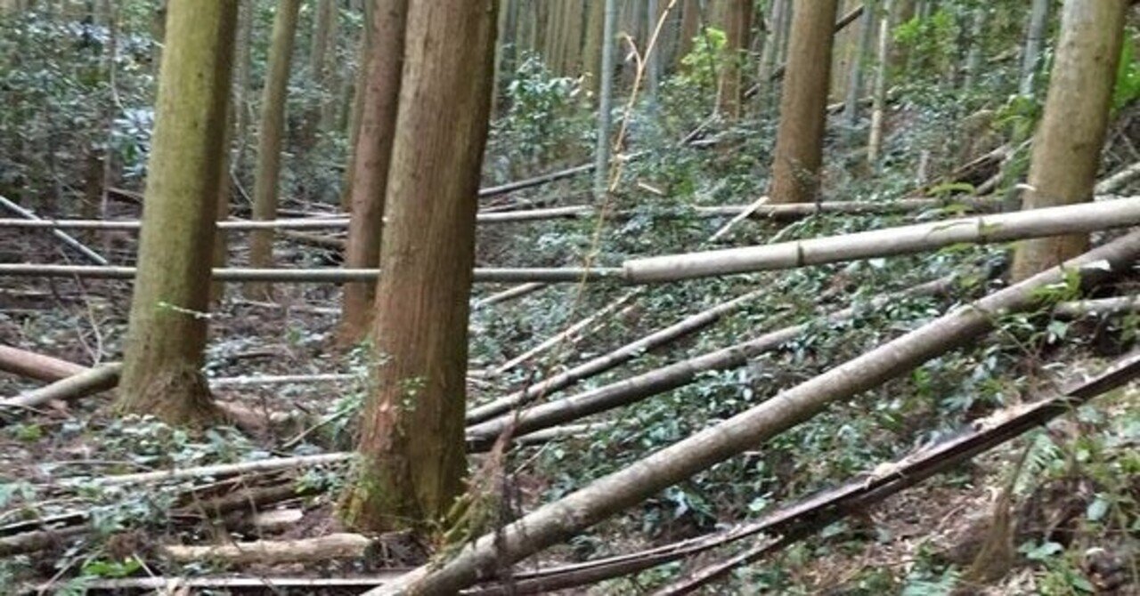 【阪本農園】2～3月に行った採銅所の裏山の片づけです。｜阪本農園＠農作物加工スイーツ販売農家