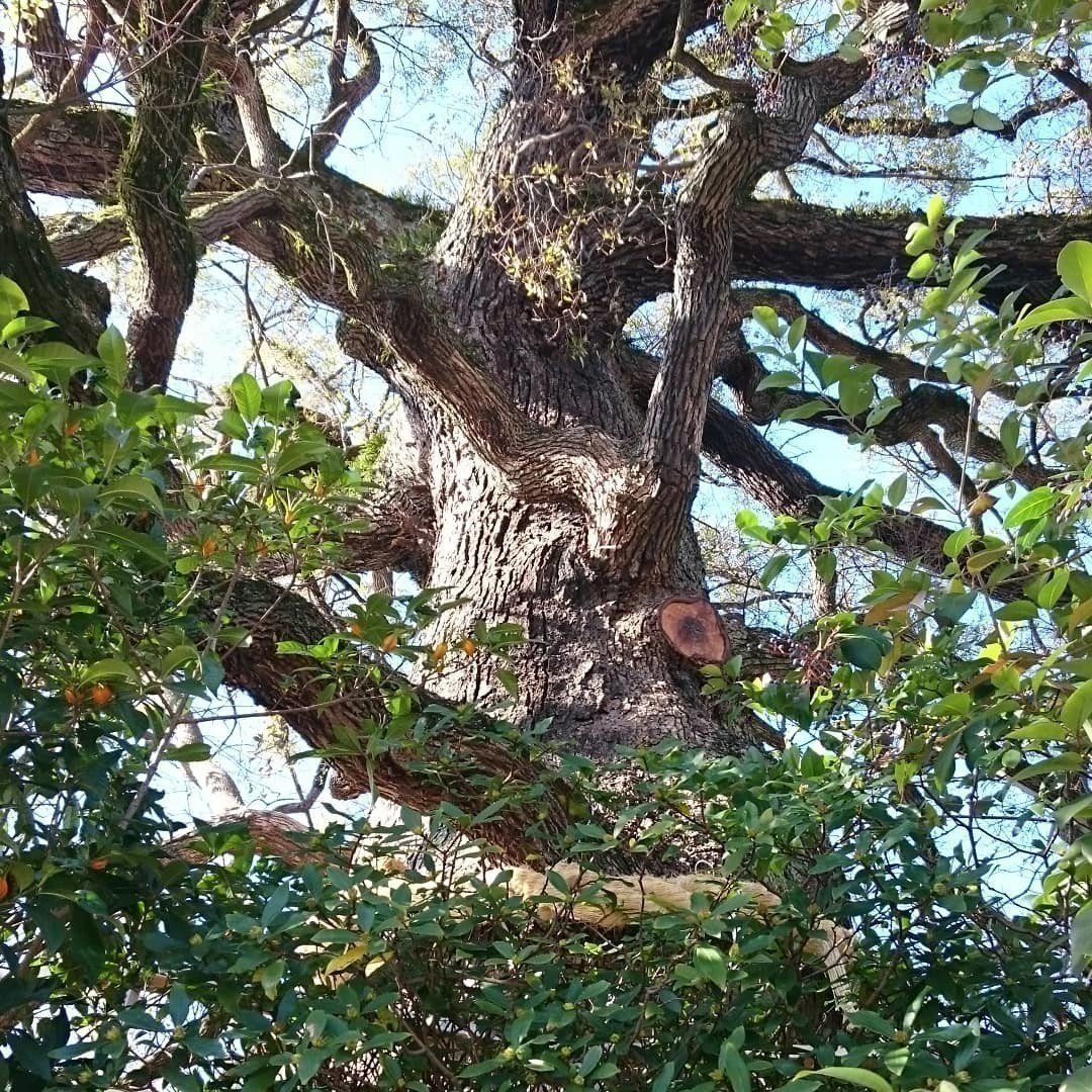 ☆kazu の ko☆｜note