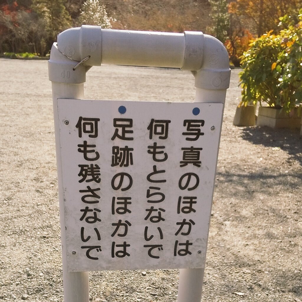 福岡の某所でとった写真シリーズ 誰がうまいこと言えと・・・｜Tomomi Nonaka/ 野中友美