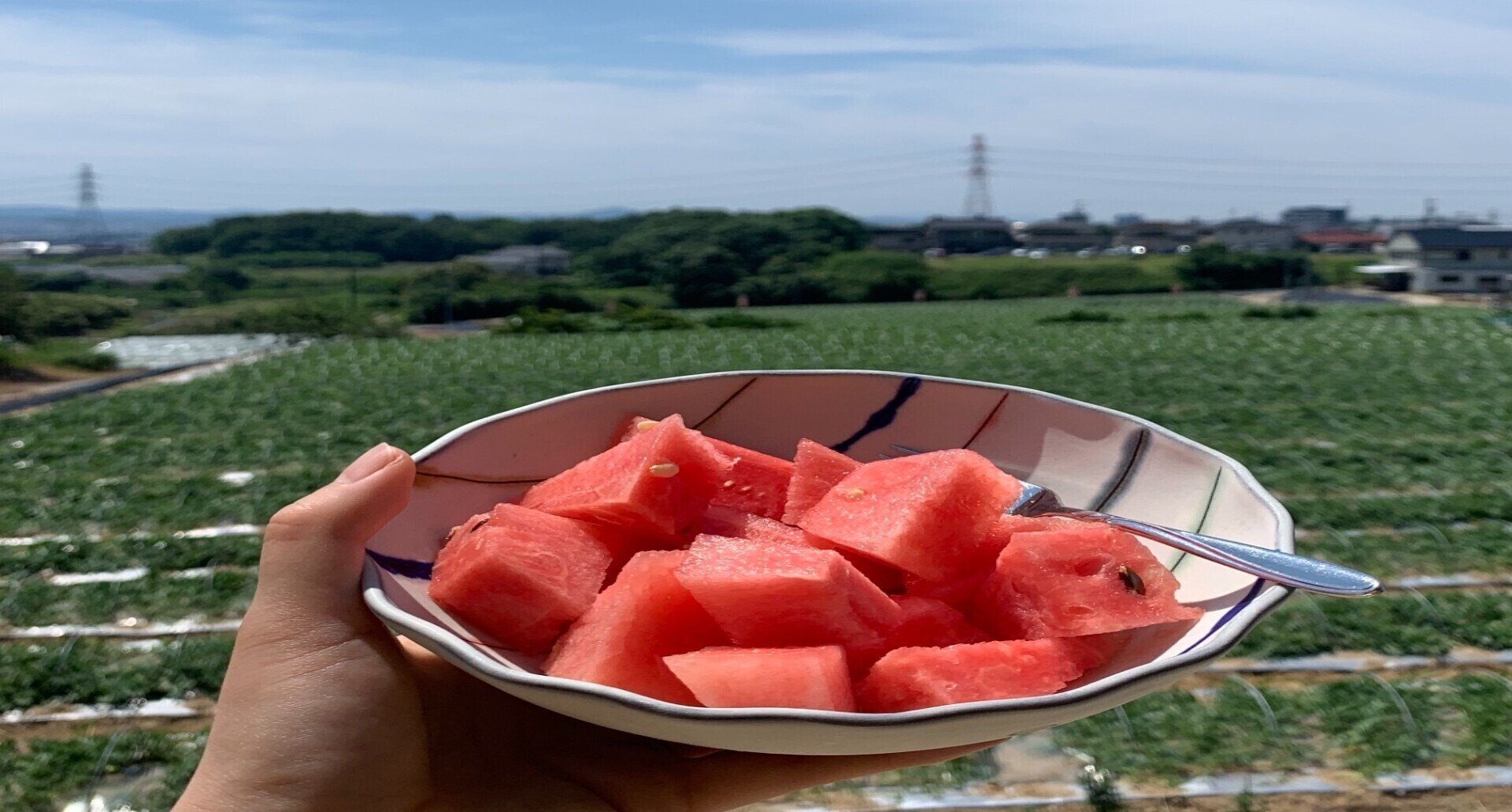 スイカ農家の孫(大学4年生)🍉｜note