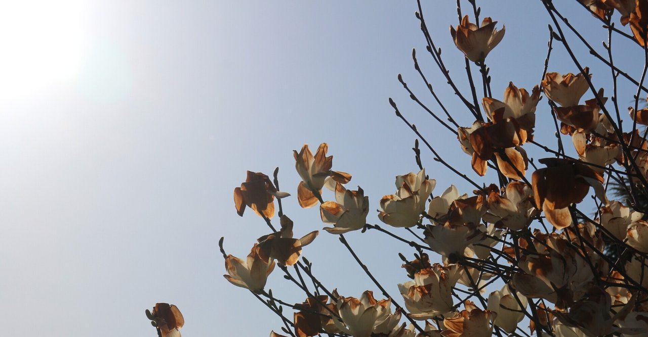 おさらいnote~第2回 ksnctf#2 Easy Cipher~｜宮下