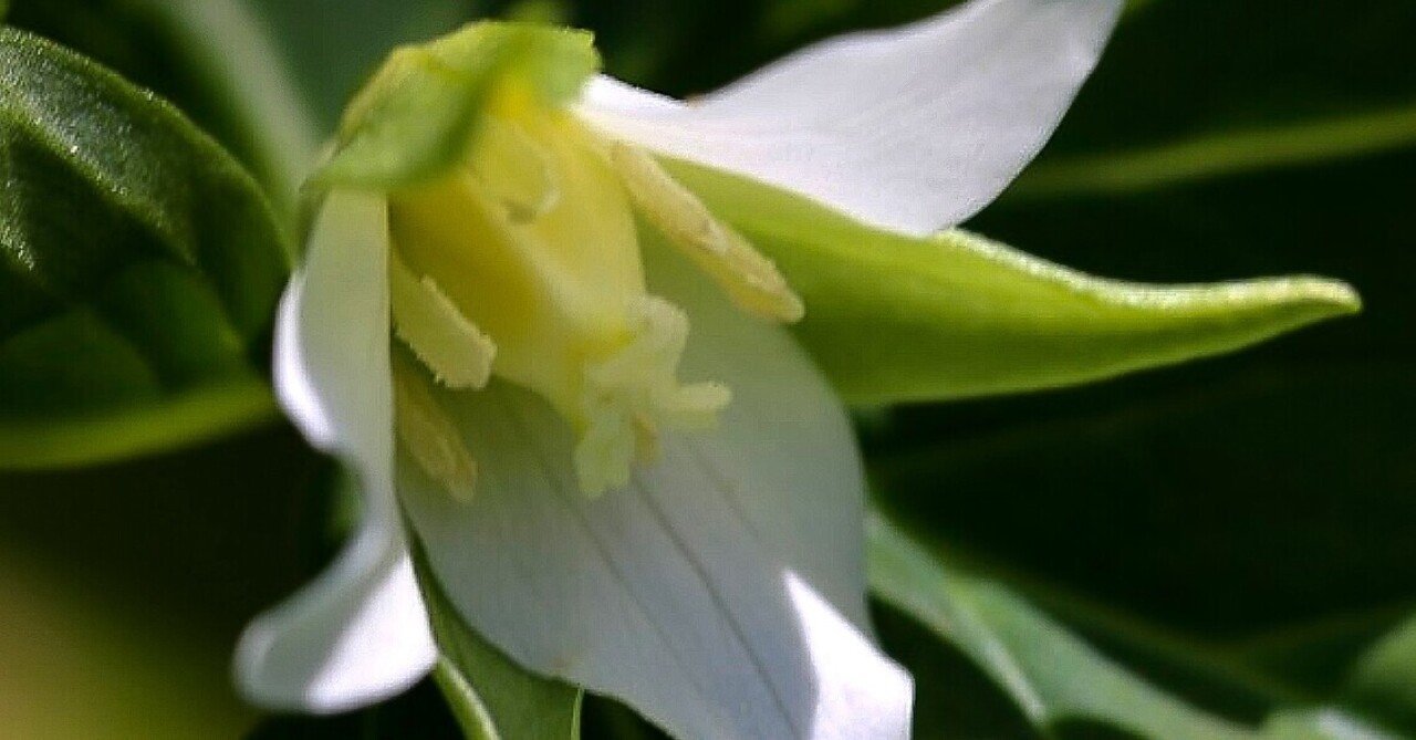 再投稿 [024] （2020/7/24）｜taku｜note