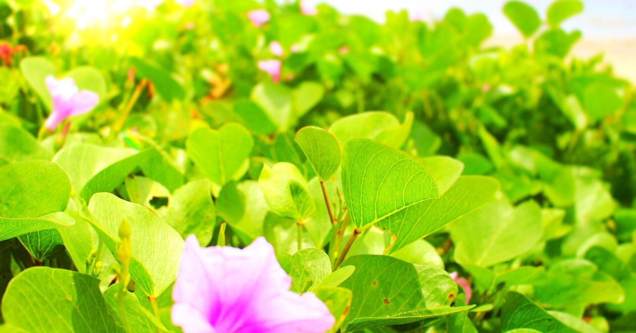 「考えるな、助けろ」を読んで｜ KAZUKO ｜note