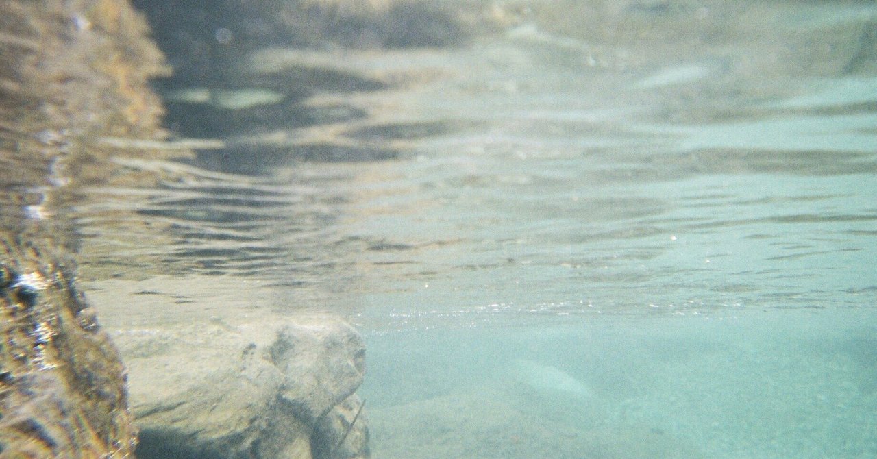 初めての写ルンです｜山田太郎｜note