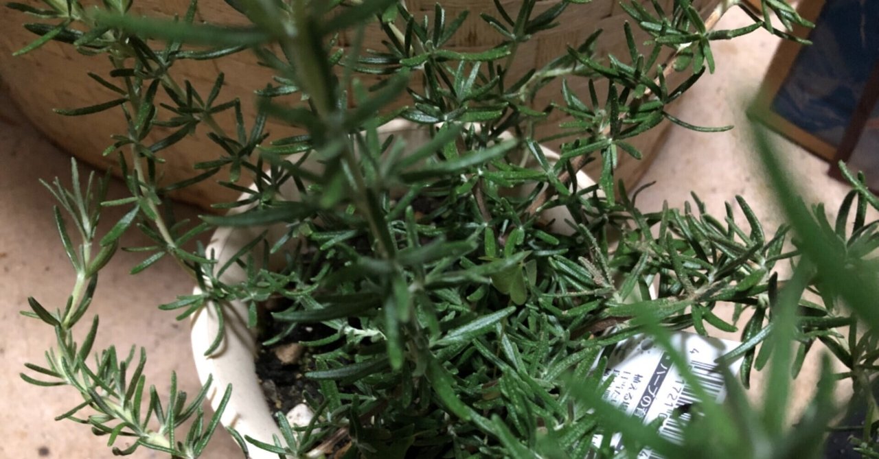 ふと・・・思う｜poporin