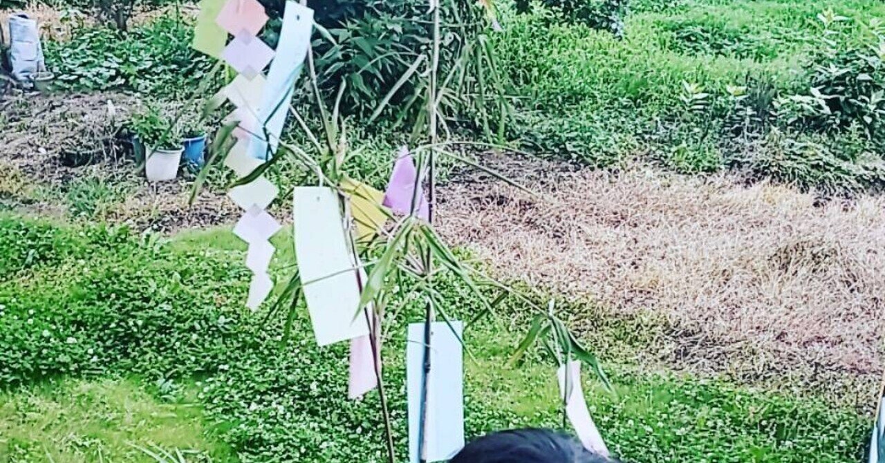 七夕🎋｜manalink