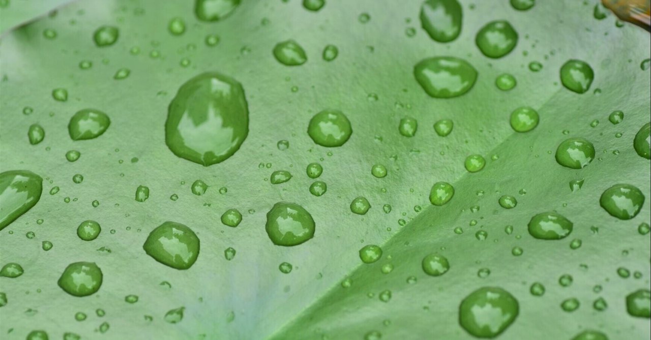 アサーティブ・リーダーシップ ～久しぶりの元上司との電話｜Yukihiro🧸｜note