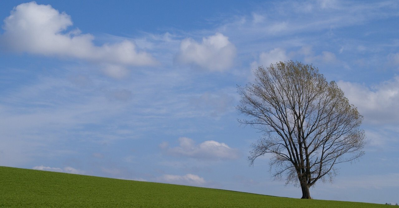 収入の柱を増やす｜yutty｜note