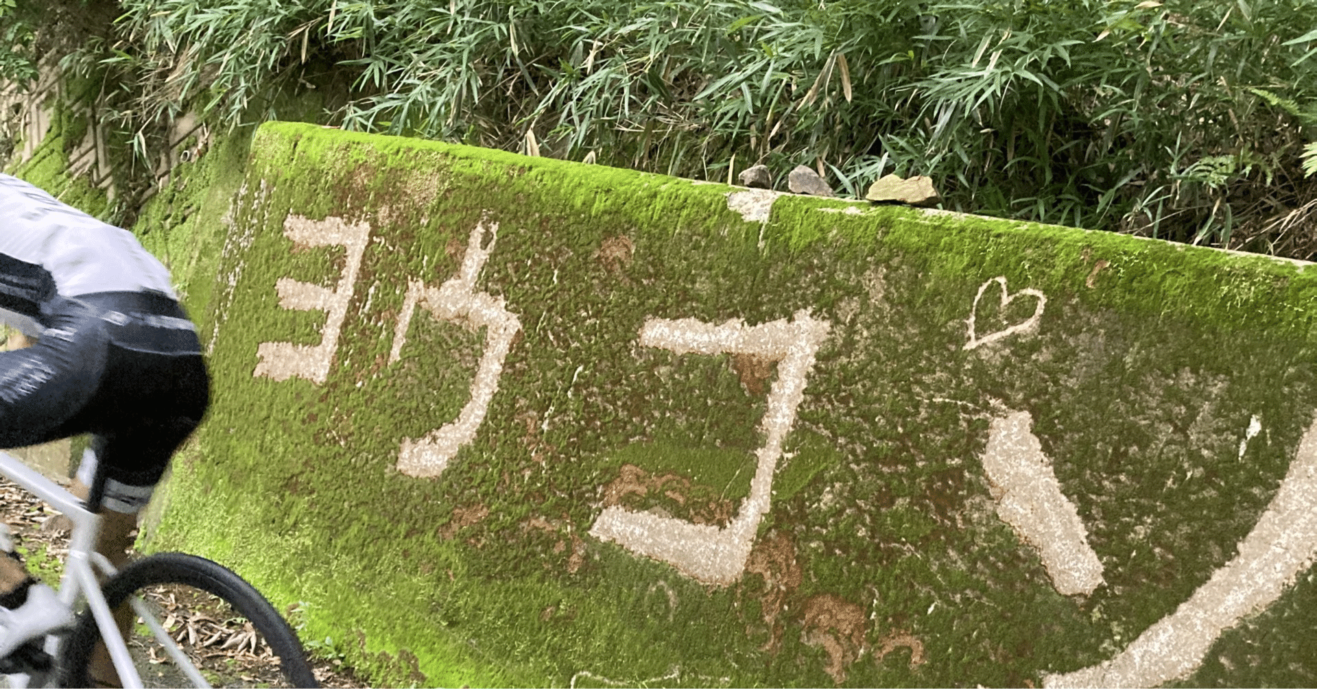 レース結果まとめ｜shogo yasukawa｜note