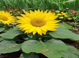 虹の彼方から Bright day EIKO｜note