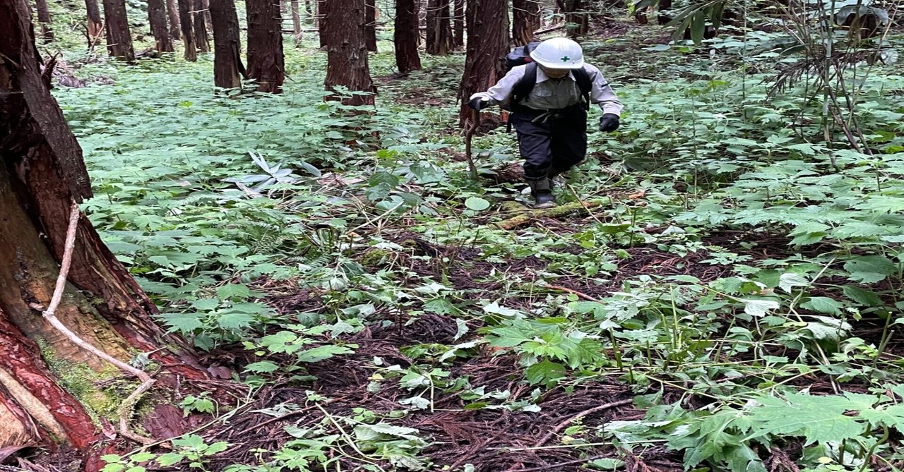 佇まい｜P-stump｜note