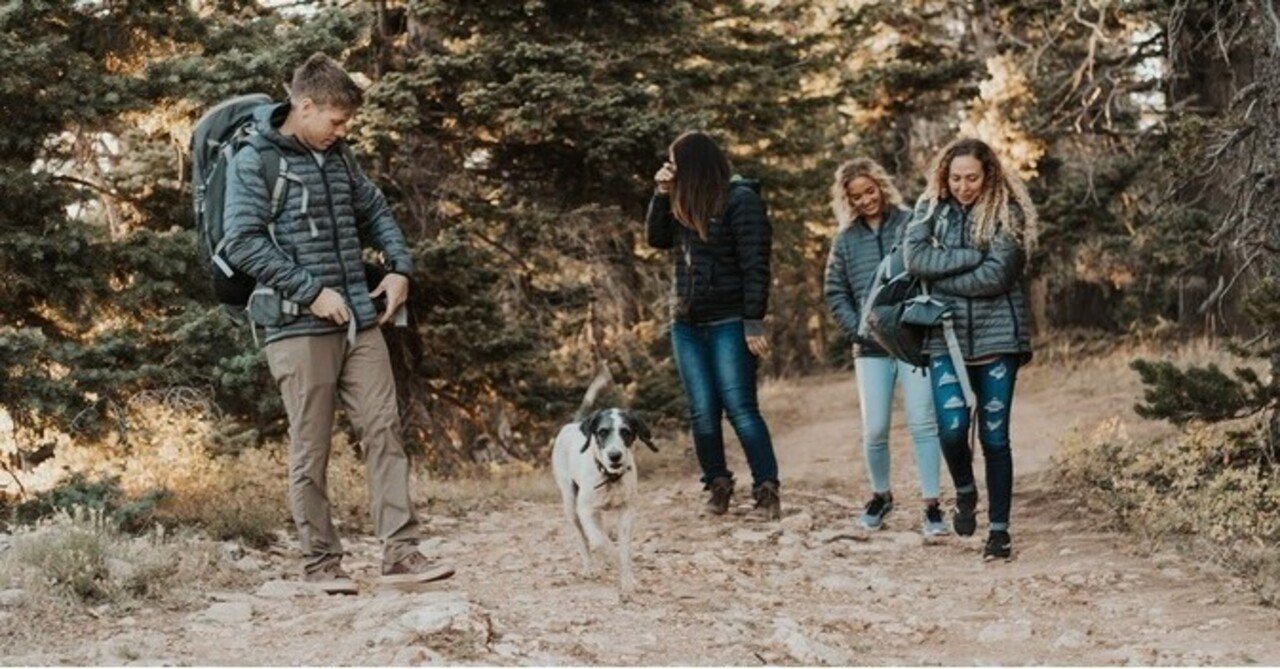 ”軽い・暖かい・耐水”先進的な断熱材を使用したジャケットLoftTek Adventure Jacket：KICKSTARTERにてクラウドフ ...