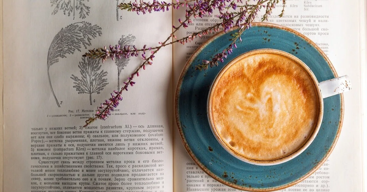 [English Learning Methods for Adults ②-2] Concrete Steps (Instant ...