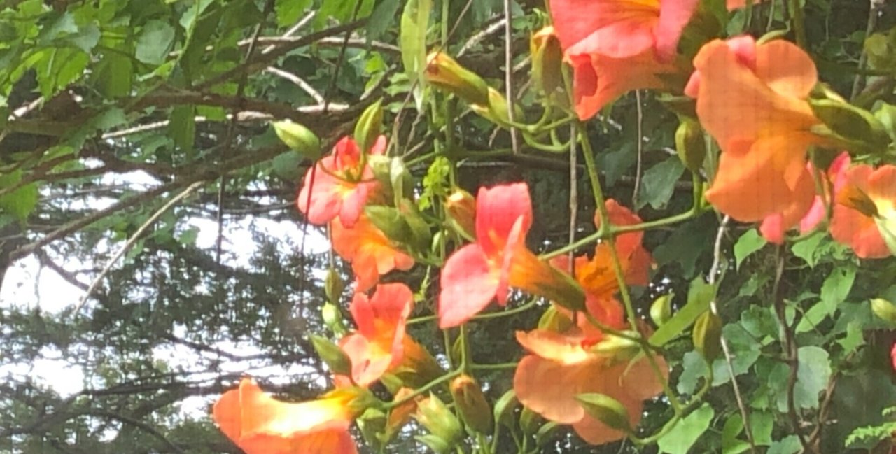 ふと・・・思う｜poporin