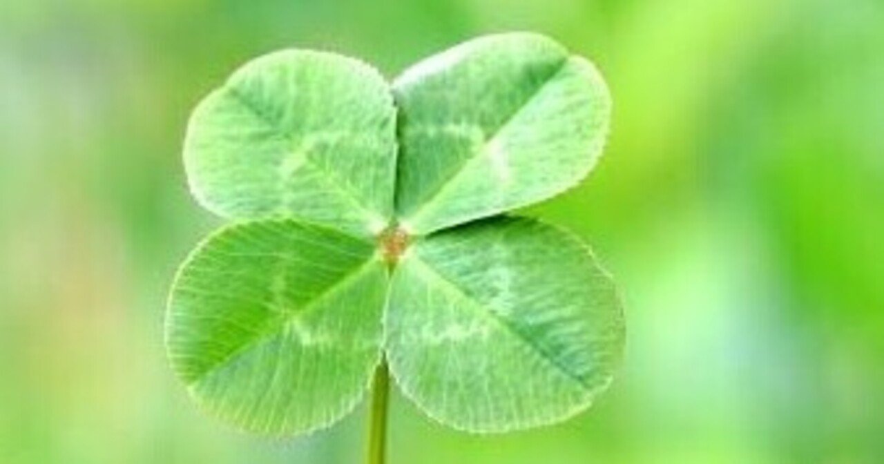 素人🔰の方は必見♪｜haP_chiP