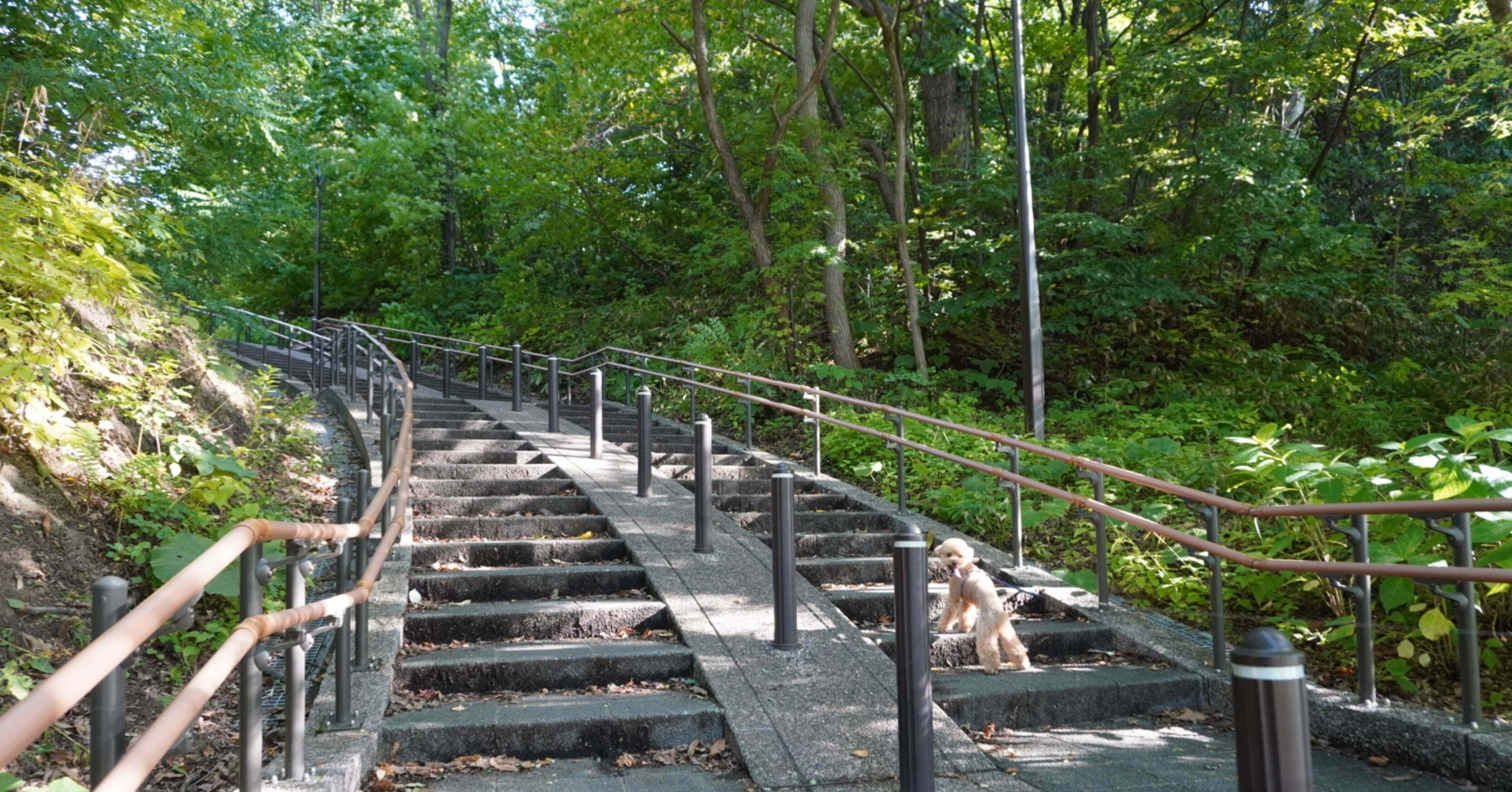 Akari-Kamimura｜note