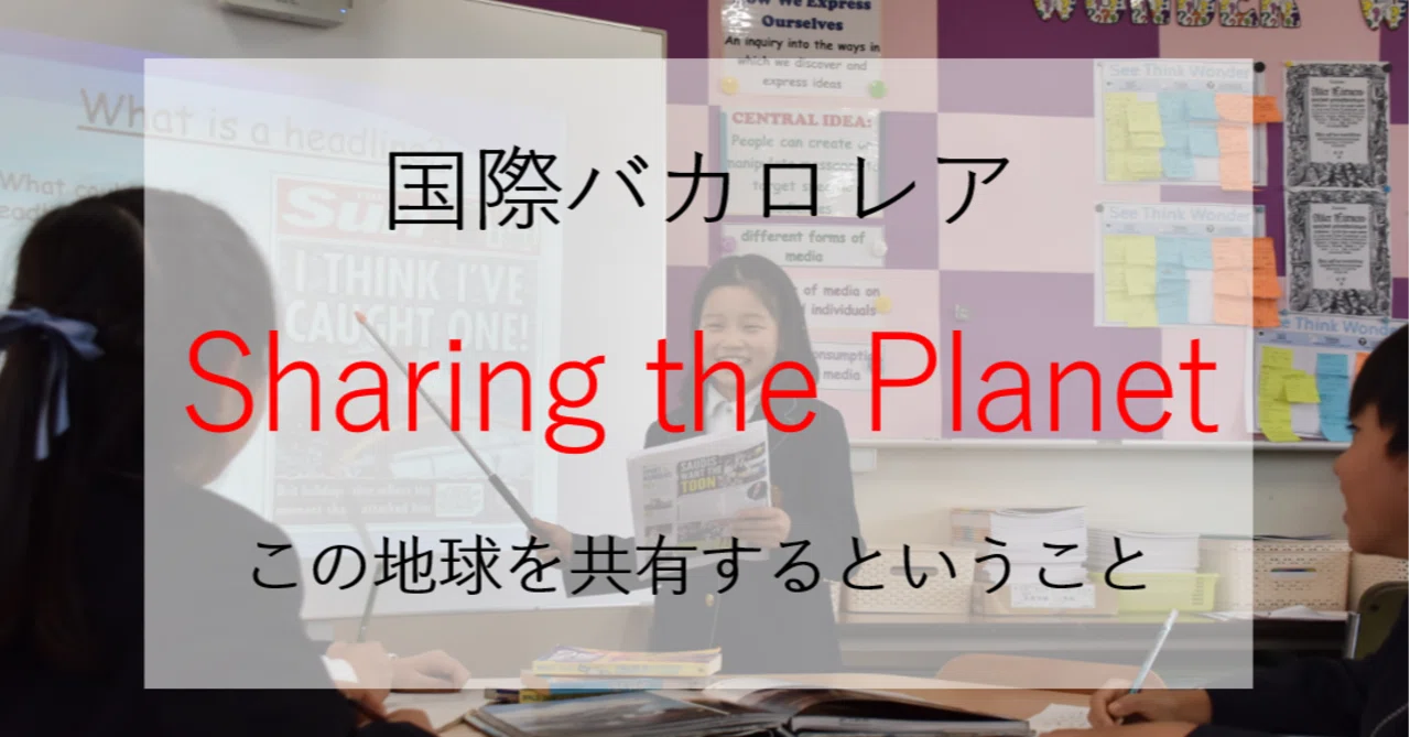 国際バカロレア(PYP)の理論と実践：POI編（第1回）｜ミライの学校をデザインする奮闘記 / 英数学館小・中・高等学校