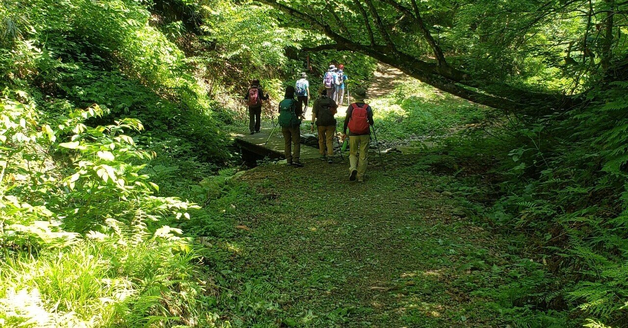 O型は「蚊」に刺されやすい?！｜すずき・ちえ@東北在住ライター｜note
