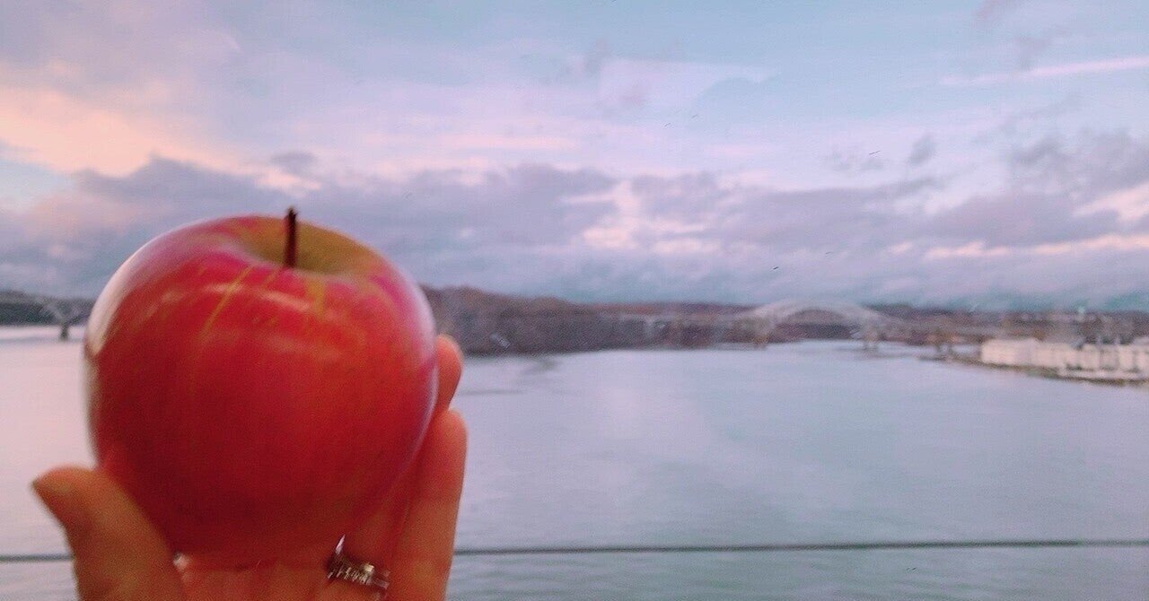 Tplus株式会社のInstagram（インスタグラム）運用の口コミ｜Tempura集客