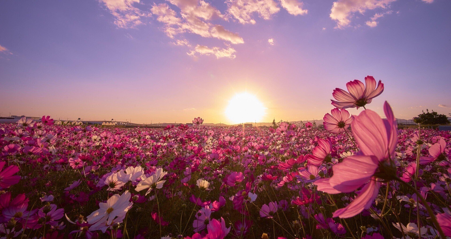 chihiro HASHIMOTO｜note