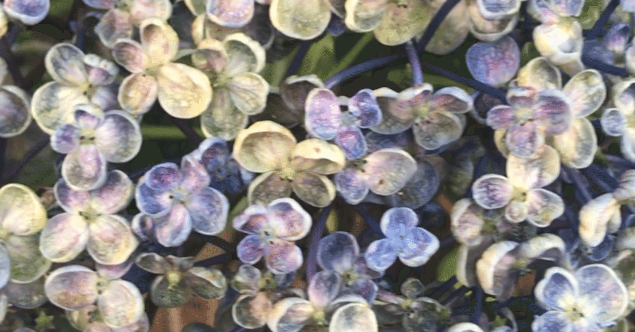 何も変われない｜Yuuka.｜note