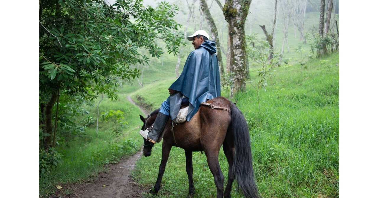 柴田大輔写真展「Hasta Mañana」｜Daisuke Shibata