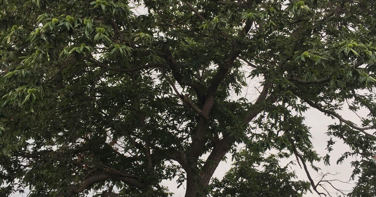 あの頃の思い...｜みっちー🌈Michiko Tsukuda