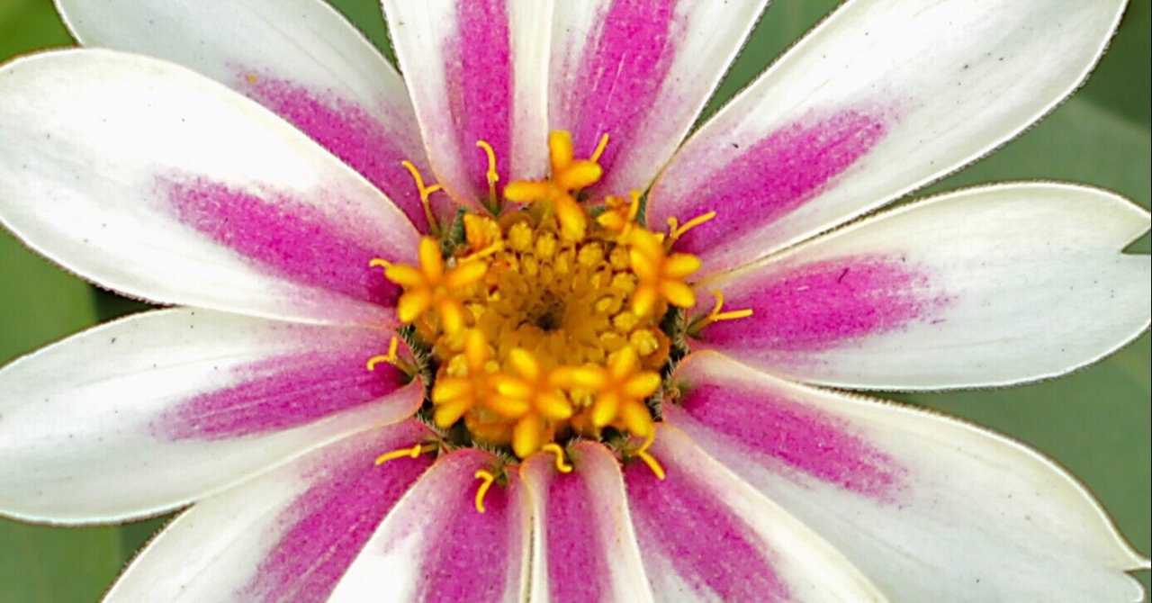 再投稿 [049] （2020/8/18）｜taku｜note