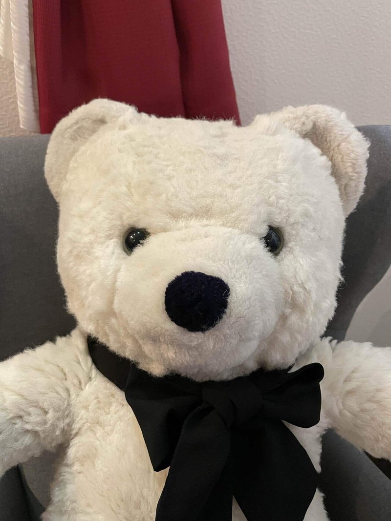 SHIROKUMAに起きた大惨事｜SHIROKUMA｜note