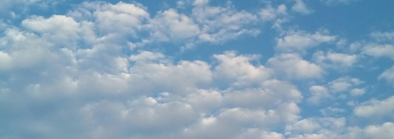 shingo_moriya｜note