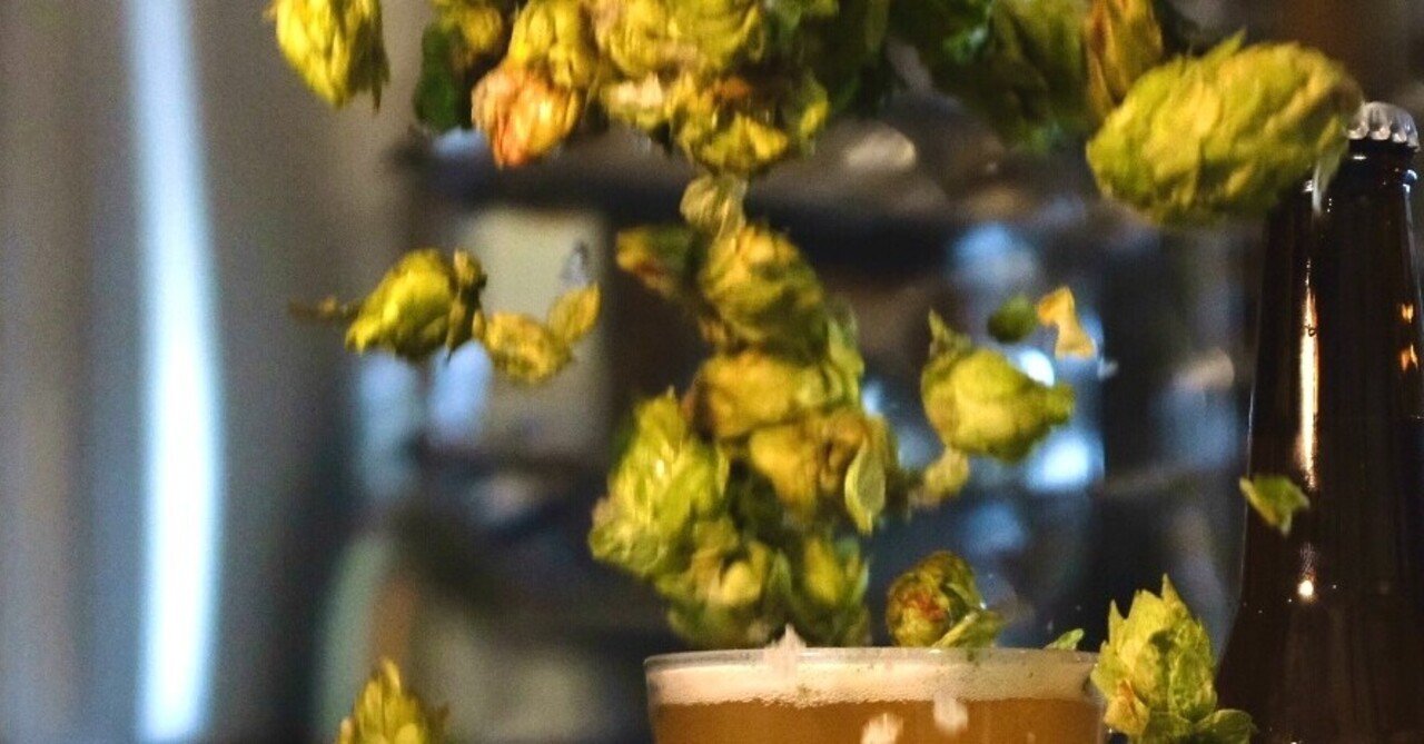 Frisbeer Guys｜note